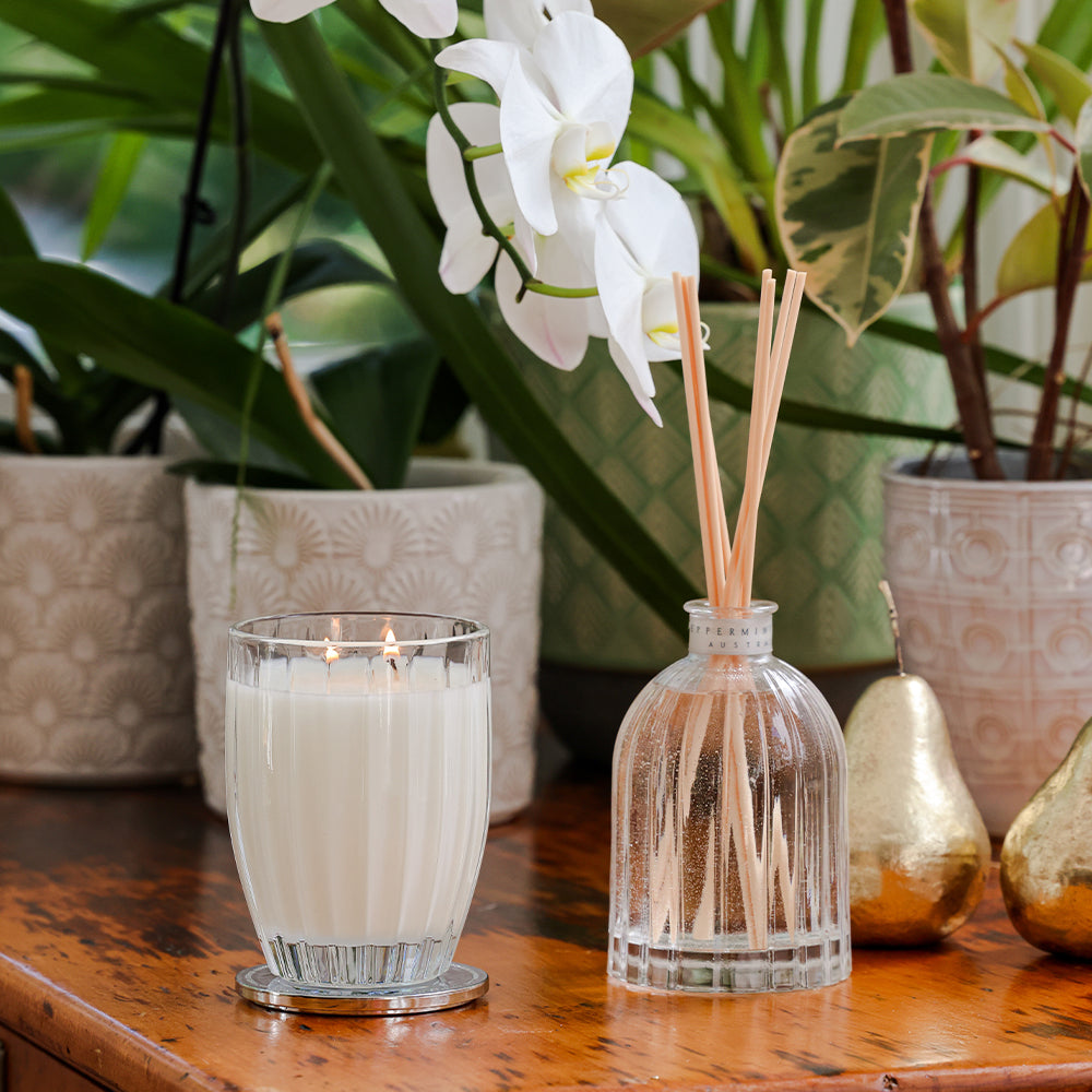 Gardenia Fragrance Diffuser 350ml | Peppermint Grove